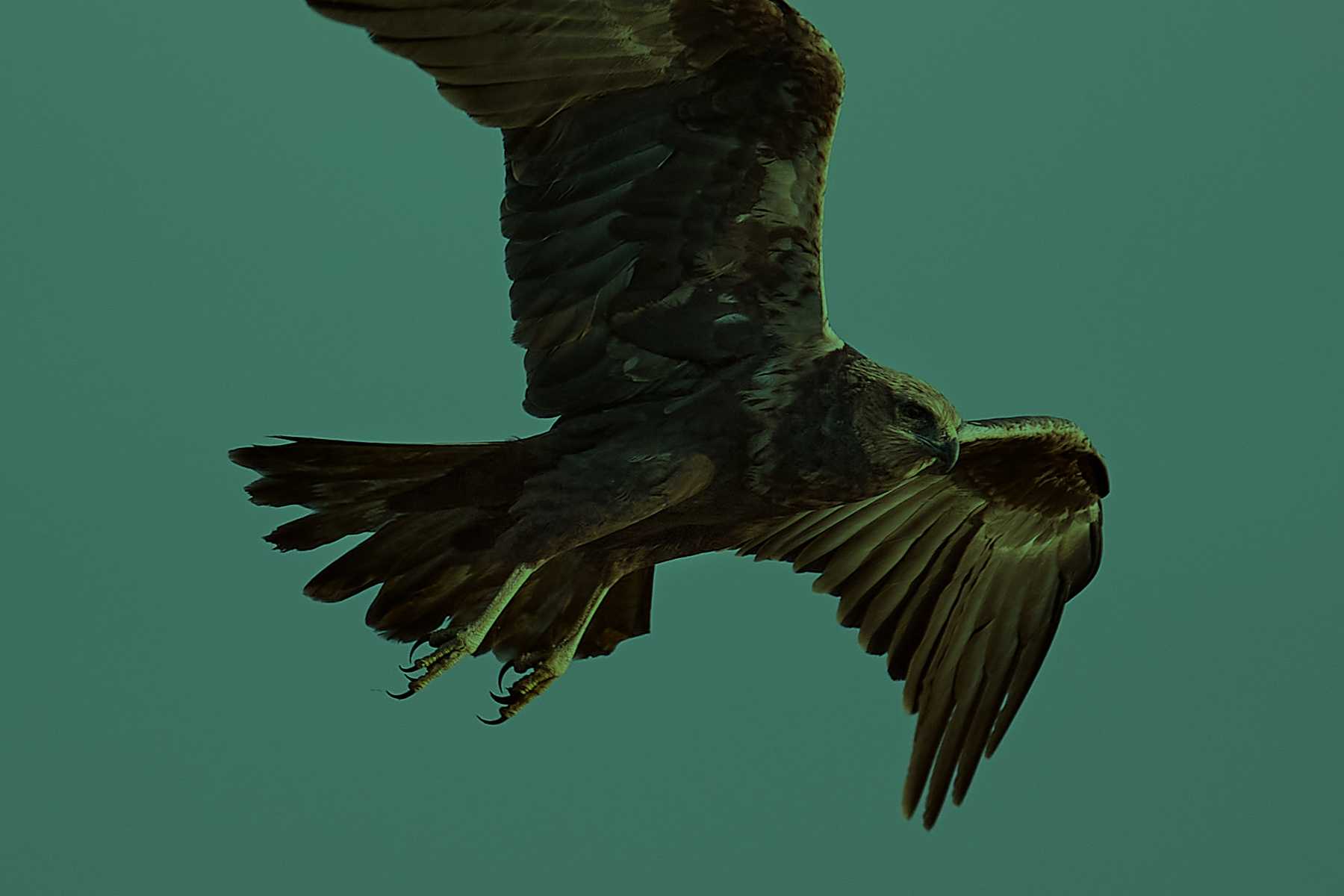 (virtuelles) 144. Treffen: MOVEX Change Data Capture: Transfer Change Events von Oracle-DB nach ...